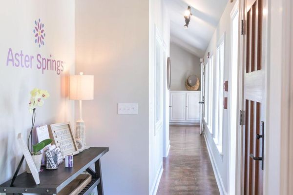 ASTER SPRINGS - NASHVILLE - Updated December 2025 - 25 Photos - 7544 ...