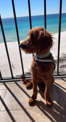 RUFF HOUSE RESORT - Updated November 2025 - 10 Reviews - 3905 FL-390 ...