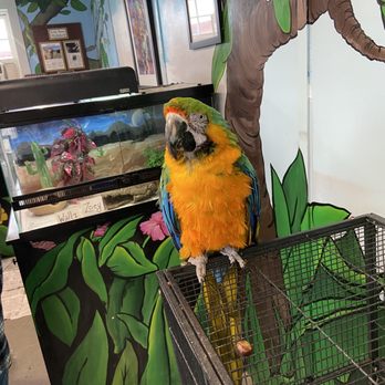 IT’S A ZOO LIFE - Updated December 2025 - 133 Photos & 15 Reviews ...