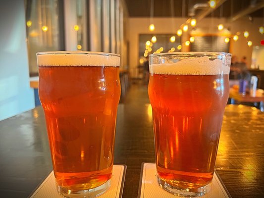 DRAGOON BREWING - Updated February 2025 - 266 Photos & 194 Reviews ...