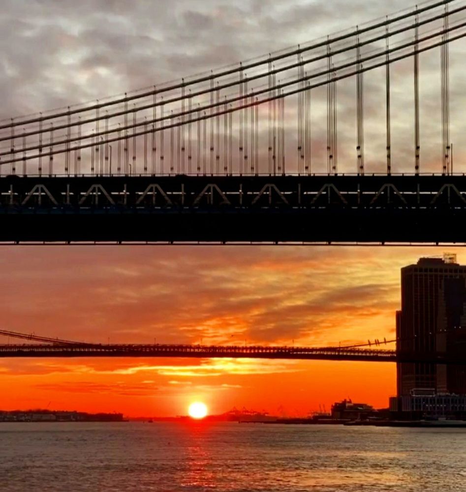 NY WATERWAY PIER 11/WALL STREET FERRY TERMINAL - 149 Photos & 97 ...