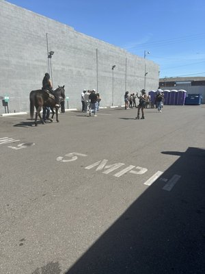 THE BEEHIVE - Updated March 2025 - 48 Photos - 961 E 61st St, Los ...