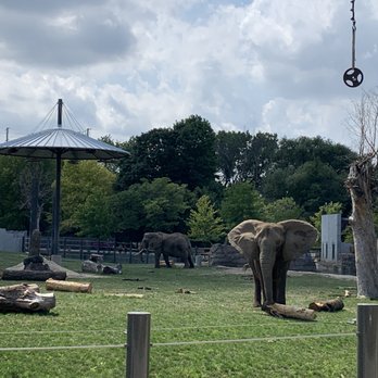 MILWAUKEE COUNTY ZOO - Updated July 2025 - 936 Photos & 293 Reviews ...