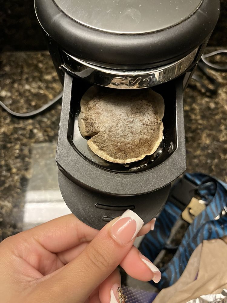 COMFORT SUITES - Updated December 2025 - 10 Photos - 11777 W Silver ...