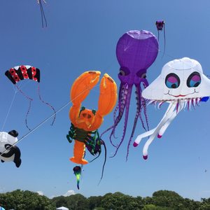 PERROTTI PARK - Updated August 2025 - 21 Photos - American's Cup Ave ...