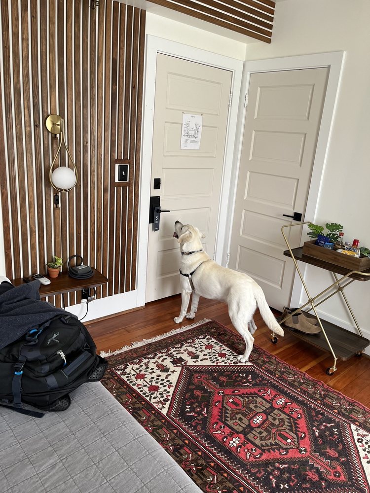 SCOTIA LODGE - Updated July 2025 - 148 Photos & 39 Reviews - 100 Main ...