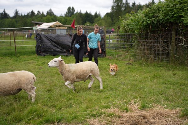 FIDO’S FARM - Updated October 2025 - 10 Photos & 34 Reviews - 9829 ...