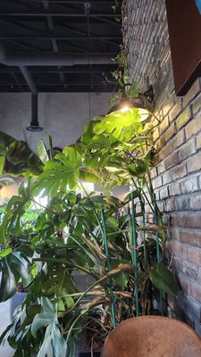 TOT CAFE - Updated January 2026 - 513 Cope Way, Saskatoon, Saskatchewan ...