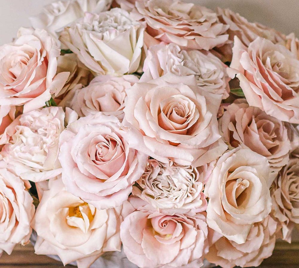 LET’S BLOOM - Updated January 2025 - Request Information - 6370 Bird Rd ...