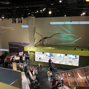 PEROT MUSEUM OF NATURE AND SCIENCE - Updated May 2024 - 2290 Photos ...