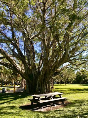 KNOWLES PARK - Updated October 2025 - 28 Photos - 1001 S Federal Hwy ...