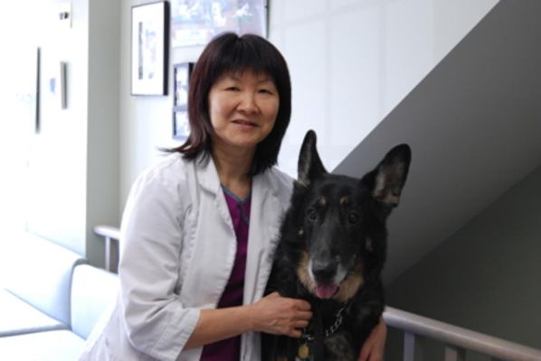 KATO ANIMAL HOSPITAL - Updated January 2026 - 34 Photos & 18 Reviews ...