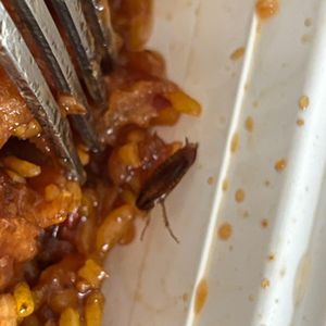 FORTUNE STAR - Updated April 2025 - 86 Photos & 84 Reviews - 4100 ...