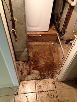 ADVANTAGE - Updated May 2026 - 56 Photos & 75 Reviews - 992 St Charles ...