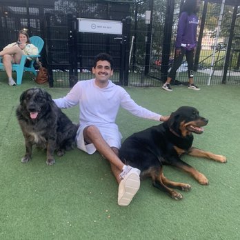 SKIPTOWN - Updated February 2025 - 196 Photos & 106 Reviews - 222 ...