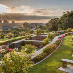 PACIFIC VIEW MEMORIAL PARK AND MORTUARY - 79 Photos & 50 Reviews - 3500 ...