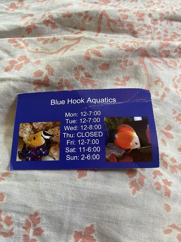 BLUE HOOK AQUATICS - Updated December 2025 - 49 Photos & 13 Reviews ...