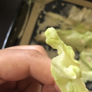 ORANGE PUBLIC LIBRARY & HISTORY CENTER - 66 Photos & 83 Reviews - 407 E ...