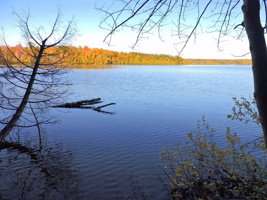 LAKE ANN - 19161 Birch View Trl, Lake Ann, MI - Yelp