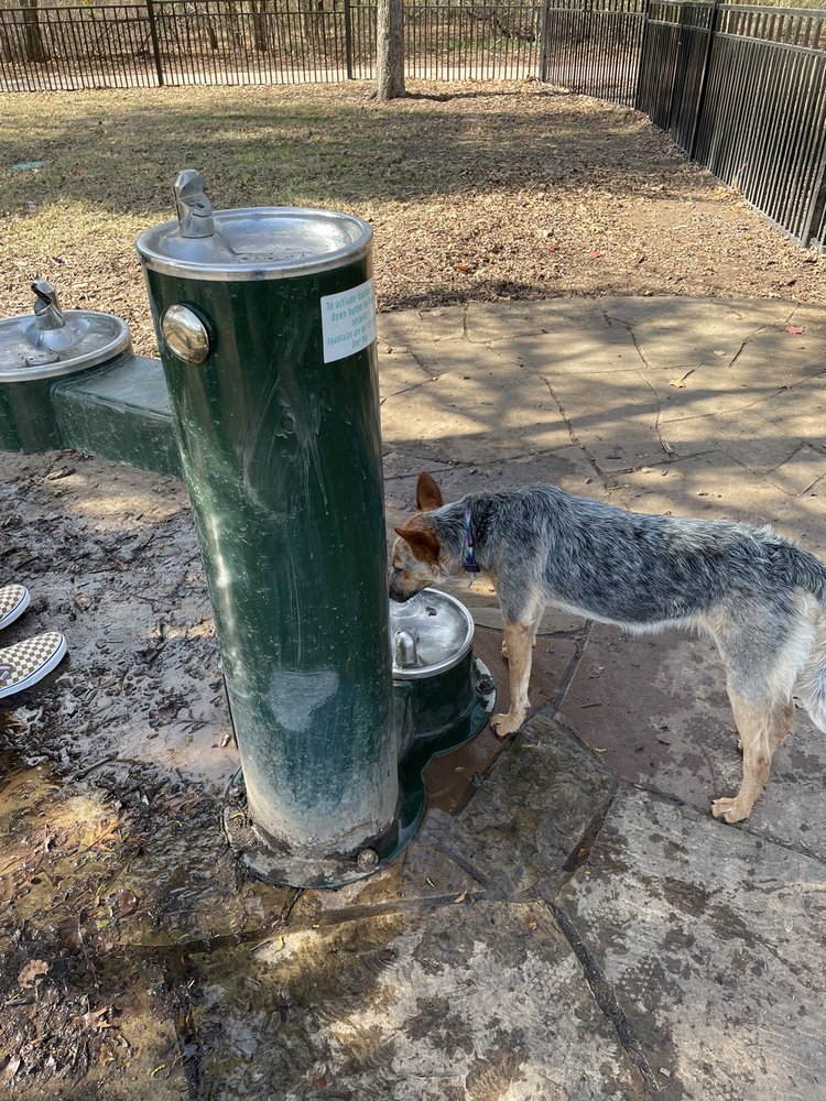 WAGGING TAIL DOG PARK - Updated October 2025 - 96 Photos & 122 Reviews ...