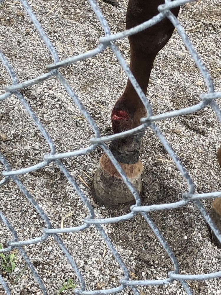 BIG CURVE ACRES FARM - Updated December 2025 - 65 Line 11 N, Hawkestone ...