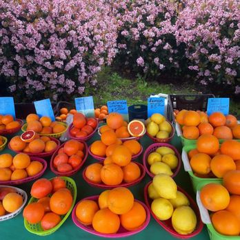 MARINA DEL REY FARMERS MARKET - Updated June 2025 - 127 Photos & 58 ...