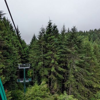 MOTEL TREES - Updated July 2024 - 57 Photos & 65 Reviews - 15495 Hwy ...