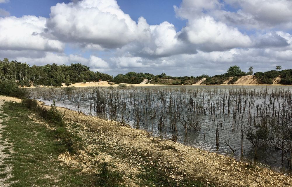 Bourley Rd, Fleet, Hampshire, United Kingdom - Hiking - Yelp