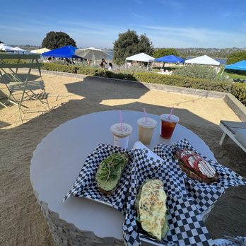 THE MISSION BAY BEACH CLUB - Updated June 2024 - 157 Photos & 86 ...