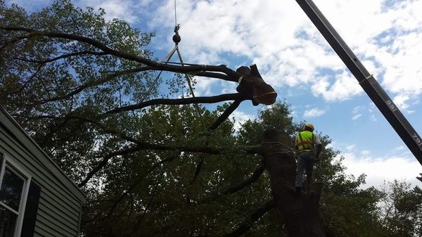 MILLER’S TREE SERVICE - Updated October 2025 - 2593 Denny Rd, Peach ...