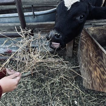 FERRARI FARMS - Updated October 2025 - 191 Photos & 69 Reviews - 4701 ...