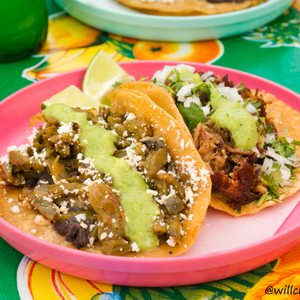 PAPRIKA ATX - 97 Photos & 77 Reviews - 6519 N Lamar Blvd, Austin, Texas ...