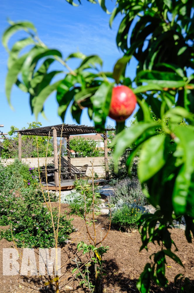 BAM LANDSCAPE - Updated October 2025 - 72 Photos & 14 Reviews - 9805 ...