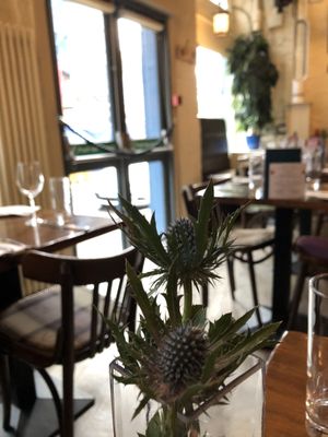 HOWIES - 246 Photos & 168 Reviews - 10-14 Victoria Street, Edinburgh ...