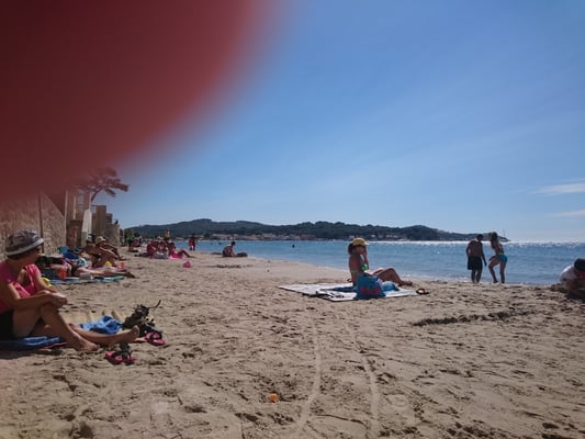 PLAGE DES SABLETTES - 14 Photos - Anse des sablettes, La Seyne-sur-Mer ...