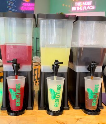 REBEL DOGS - Updated August 2025 - 51 Photos & 11 Reviews - 504 Gervais ...