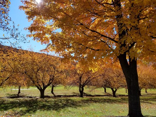 HURD PARK - Updated December 2025 - 53 Photos - W Blackwell St & Park ...