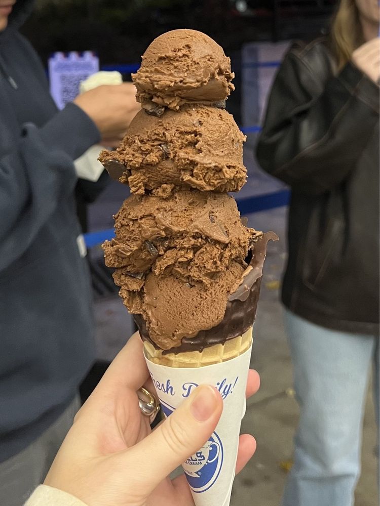 HANDEL’S HOMEMADE ICE CREAM - Updated March 2025 - 14 Photos - 931 ...