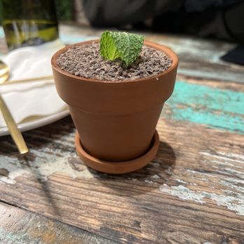 LUCA TURCI - Updated July 2025 - 90 Photos & 22 Reviews - 153 E Morse ...