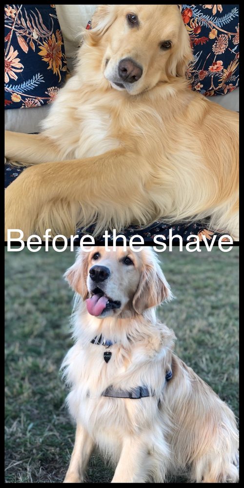 REBER RANCH - Updated October 2024 - 122 Photos & 200 Reviews - 28606 ...