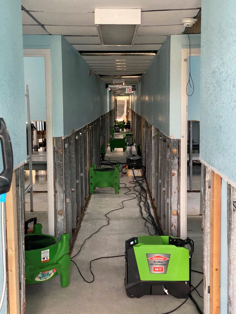 SERVPRO OF NORTH PENSACOLA - Updated January 2025 - 11 Photos - 3345 ...