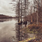 STUMPY LAKE NATURAL AREA - 238 Photos & 17 Reviews - 4794 Indian River ...