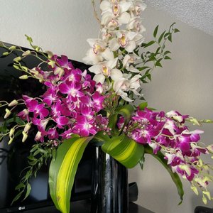 TRIAS FLOWERS AND GIFTS - 284 Photos & 230 Reviews - 6520 Bird Rd ...
