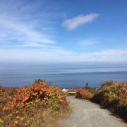 HALIBUT POINT STATE PARK - 153 Photos & 91 Reviews - 16 Garfield Ave ...