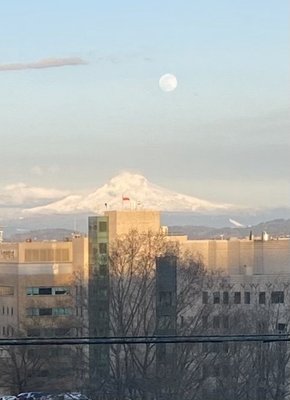 KBC MANAGEMENT - Updated January 2026 - 42 Reviews - 4700 S Macadam Ave ...