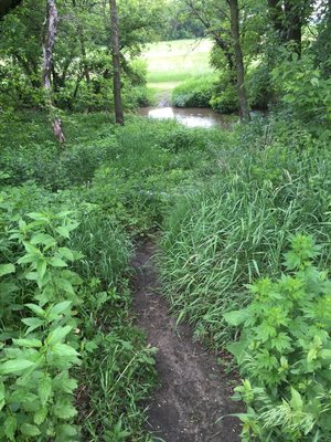 INGALLS DUGOUT SITE - Updated September 2024 - 17 Photos - Walnut Grove ...