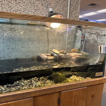 ALAMOGORDO PUBLIC LIBRARY - Updated December 2025 - 920 Oregon Ave ...