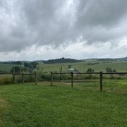 FORT CHISWELL ANIMAL PARK - 81 Photos & 22 Reviews - 569 Red Hollow Rd ...