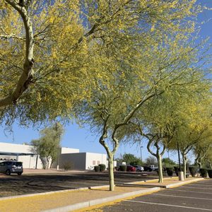 APACHE JUNCTION PUBLIC LIBRARY - Updated April 2025 - 18 Photos & 21 ...