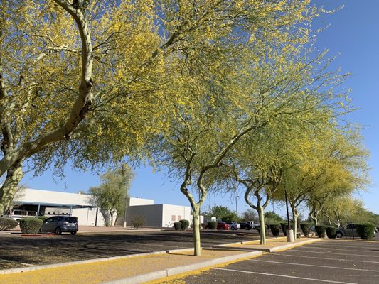 SOUTHEAST REGIONAL LIBRARY - Updated October 2025 - 57 Photos & 74 ...